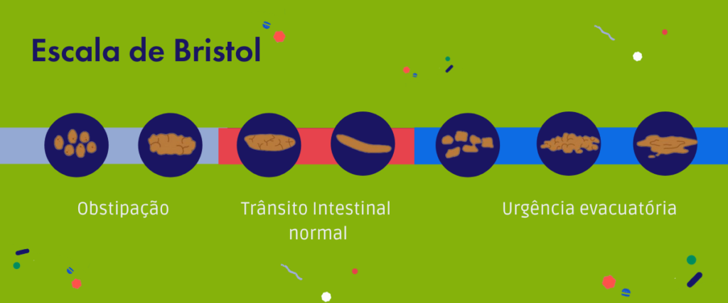 O que podemos considerar um trânsito intestinal normal? - Saude Digestiva